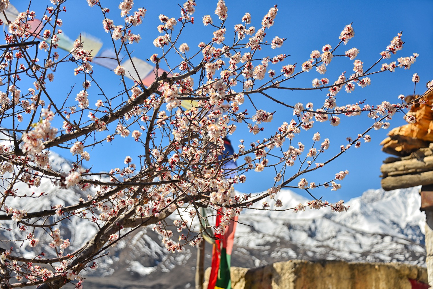 Best Seasons to Trek in Nepal | Blog | Himalayan Yoga Academy | Nepal ...